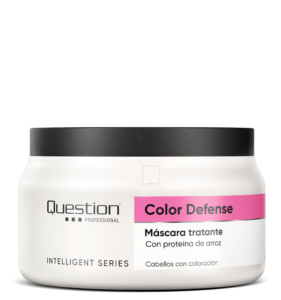 Color Defense Hair Mask - Question Professional